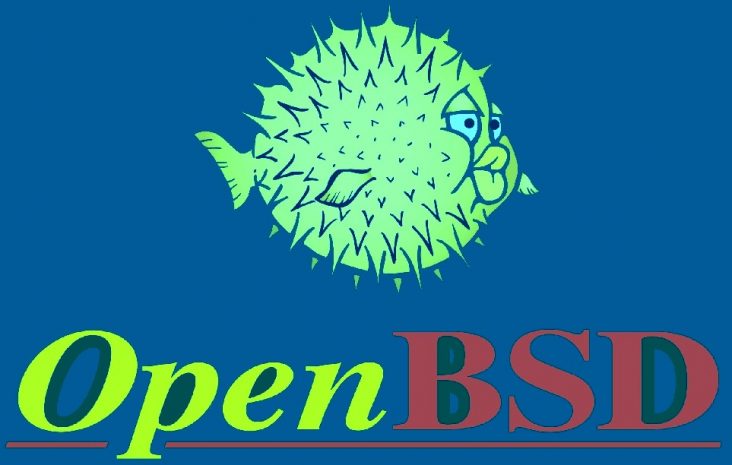 OpenBSD Vulnerabilities Authentication Bypass, Local Escalation